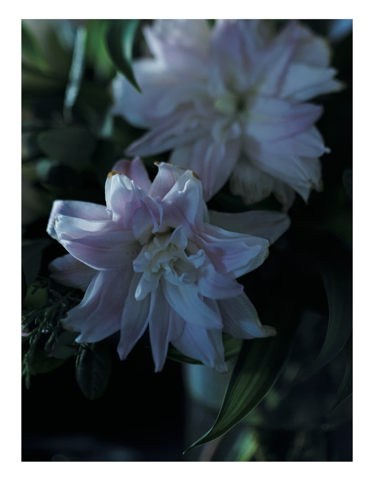 Naomi Hirabayashi (Art Director) | Silver Magazine