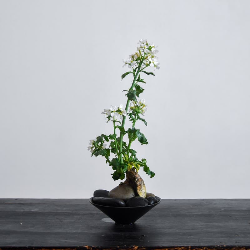 Interview with Toru Watarai | Silver Magazine