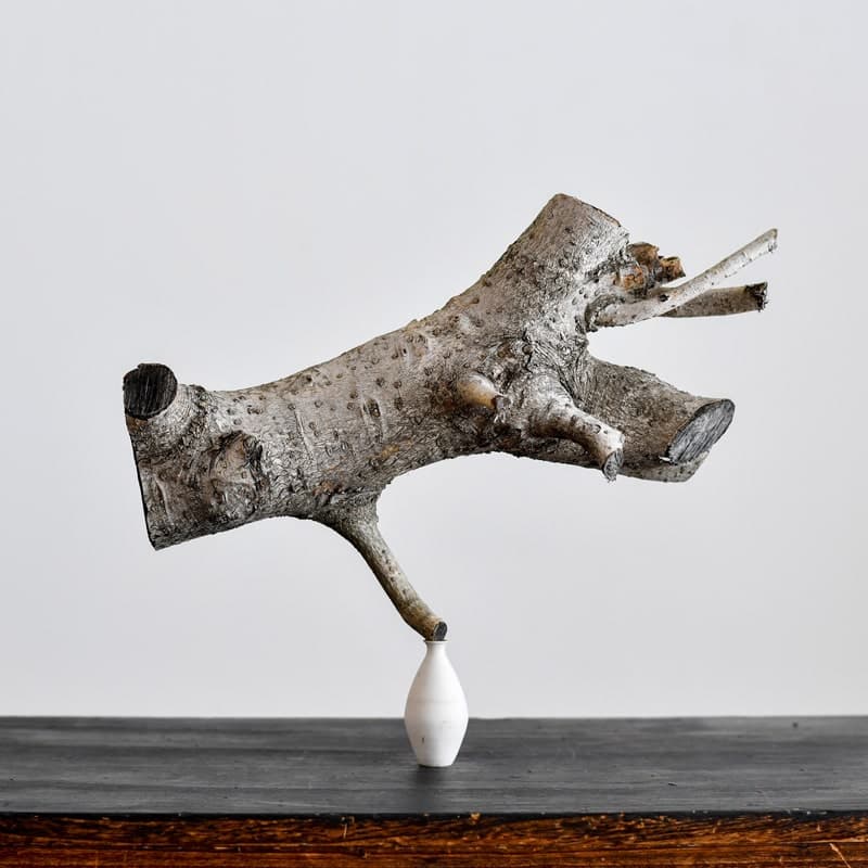 Interview with Toru Watarai | Silver Magazine