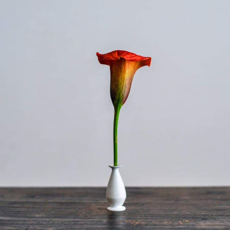 Interview with Toru Watarai | Silver Magazine