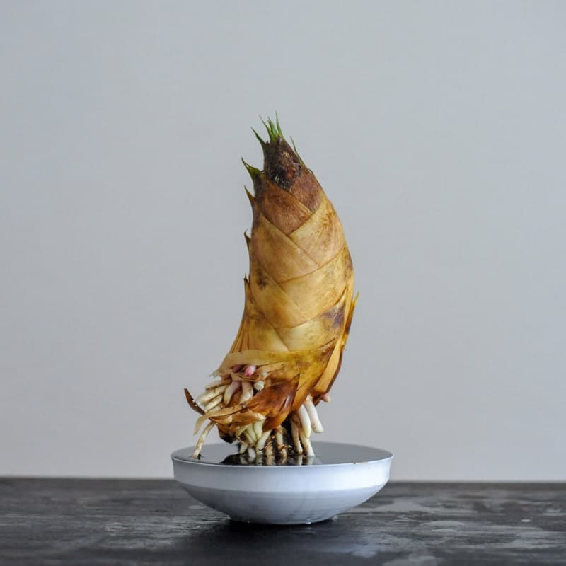 Interview with Toru Watarai | Silver Magazine